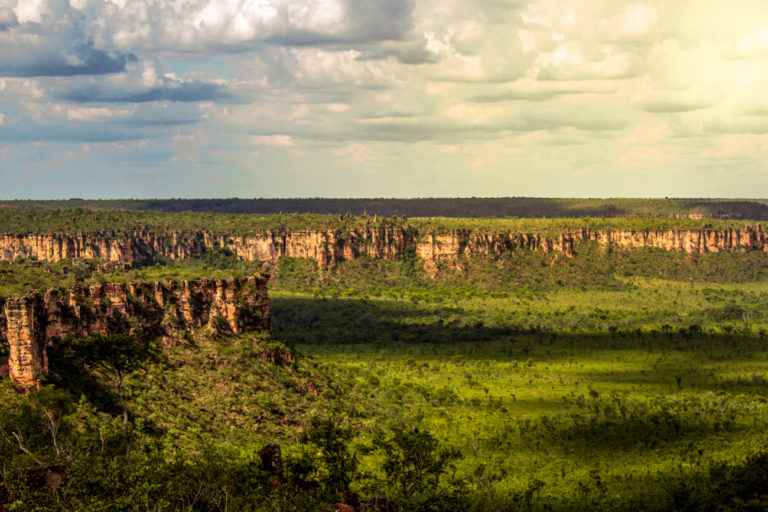 Biodiversidade - Museu do Cerrado