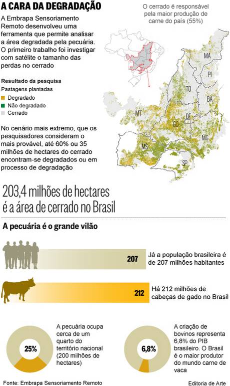 Pecuária Extensiva - Museu do Cerrado