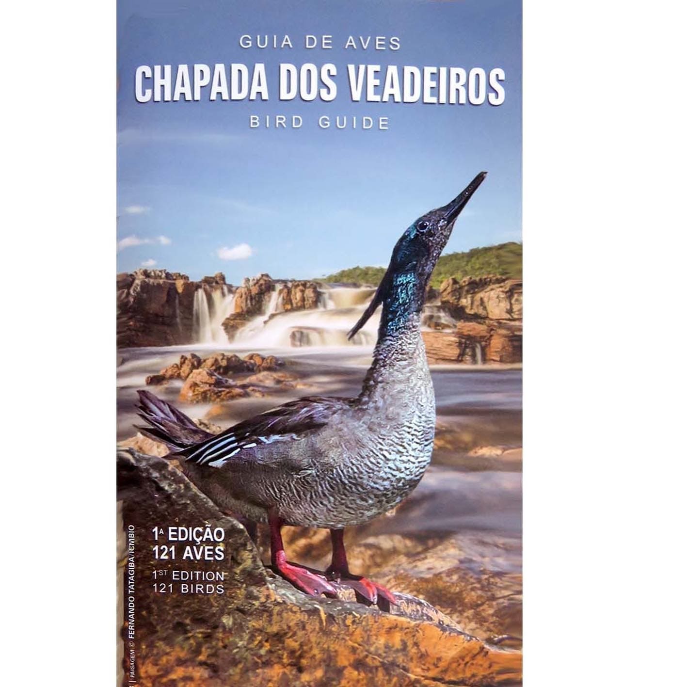 Aves do Cerrado - Museu do Cerrado